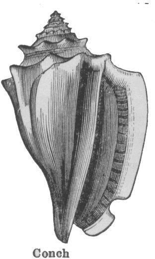 Simon Lord Of The Flies Symbolism