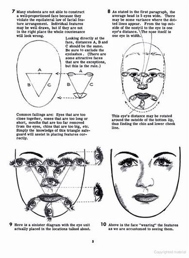 Average Human Face Dimensions
